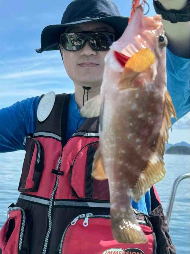 【2024年8月最新】OZ Fishing Club（愛媛県）の最新釣果情報