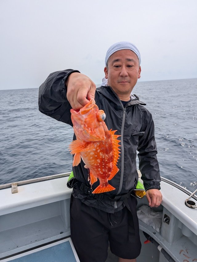 オキメバル45cm！15匹！の釣果｜2026年6月14日｜太郎丸（神奈川/小坪漁港）｜釣割