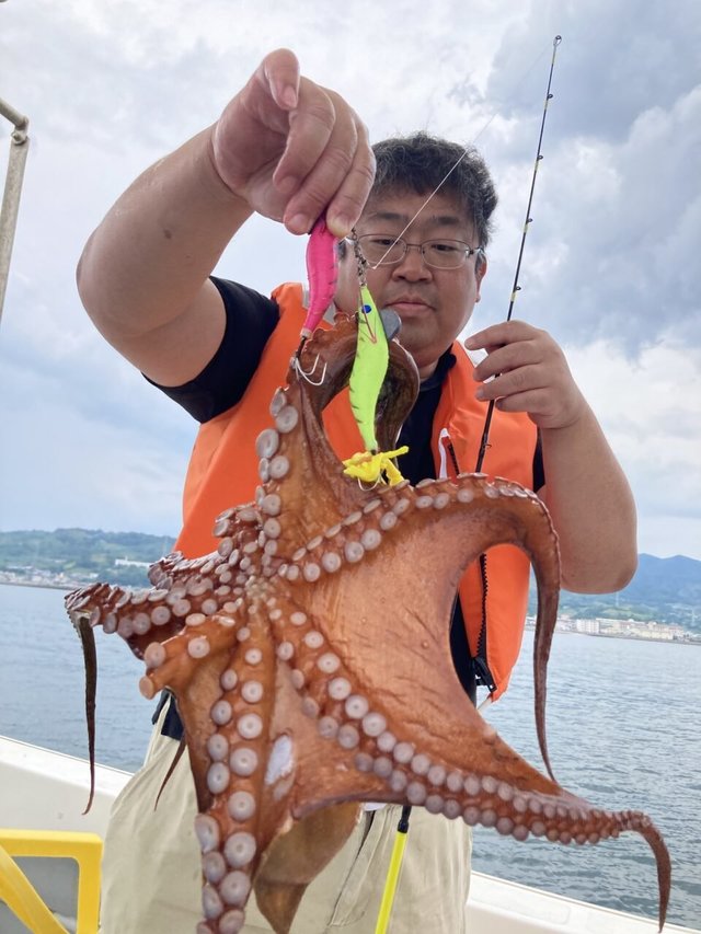 【2026年6月最新】新栄丸（兵庫県）の最新釣果情報